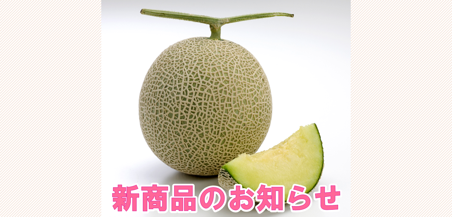 【櫻井農園】アールスメロン販売開始！！｜ARISE GIFT ｜ 茨城県大洗町の"お取り寄せギフト"と"町の声"をお届け